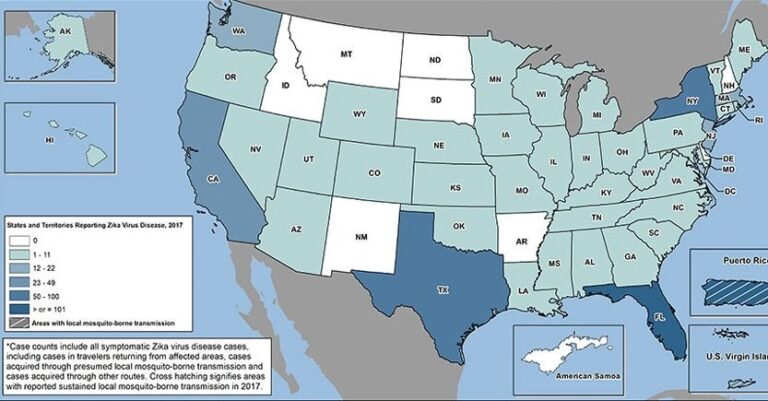 Using Geospatial Technology during a Pandemic – Global Investigative ...
