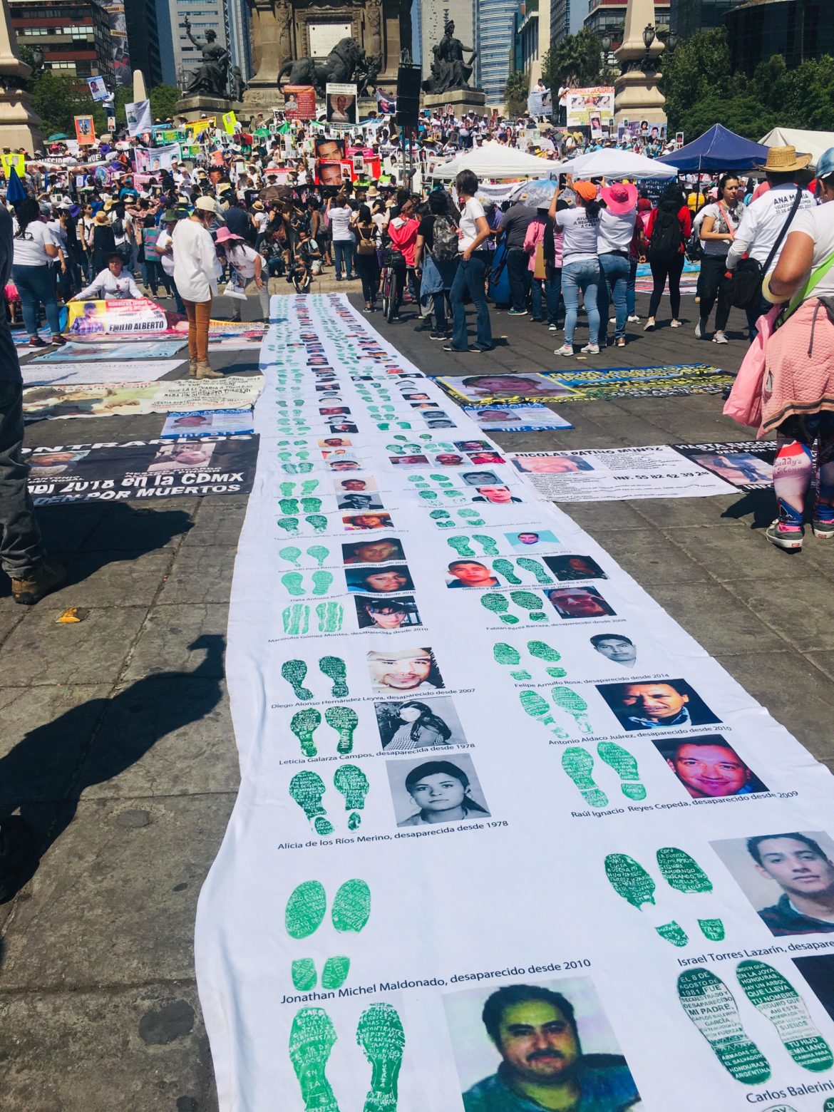 Digging into Disappearances: A Guide to Investigating Missing People ...