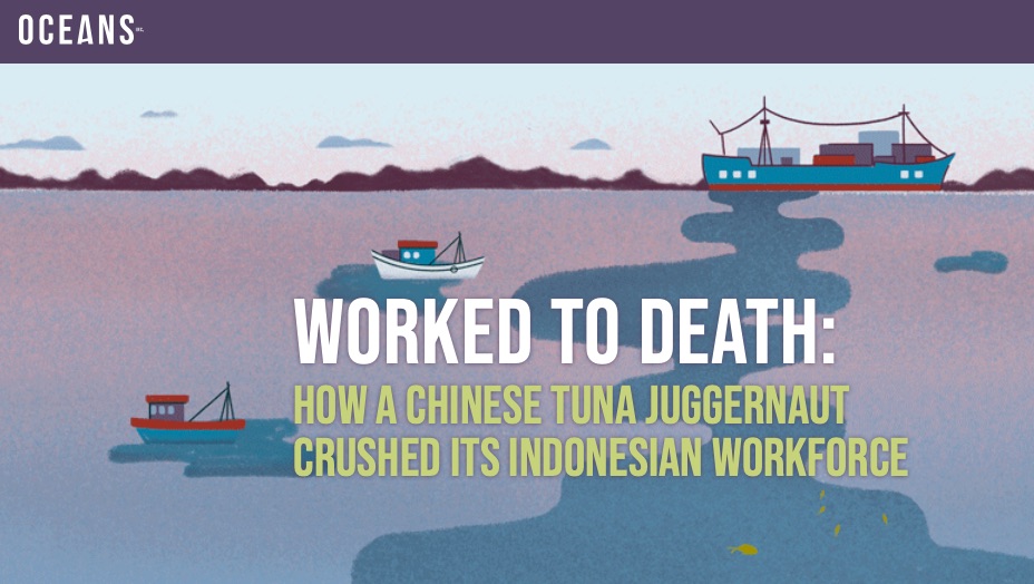 How an Award-Winning, Cross-Border Project Investigated on the Open ...