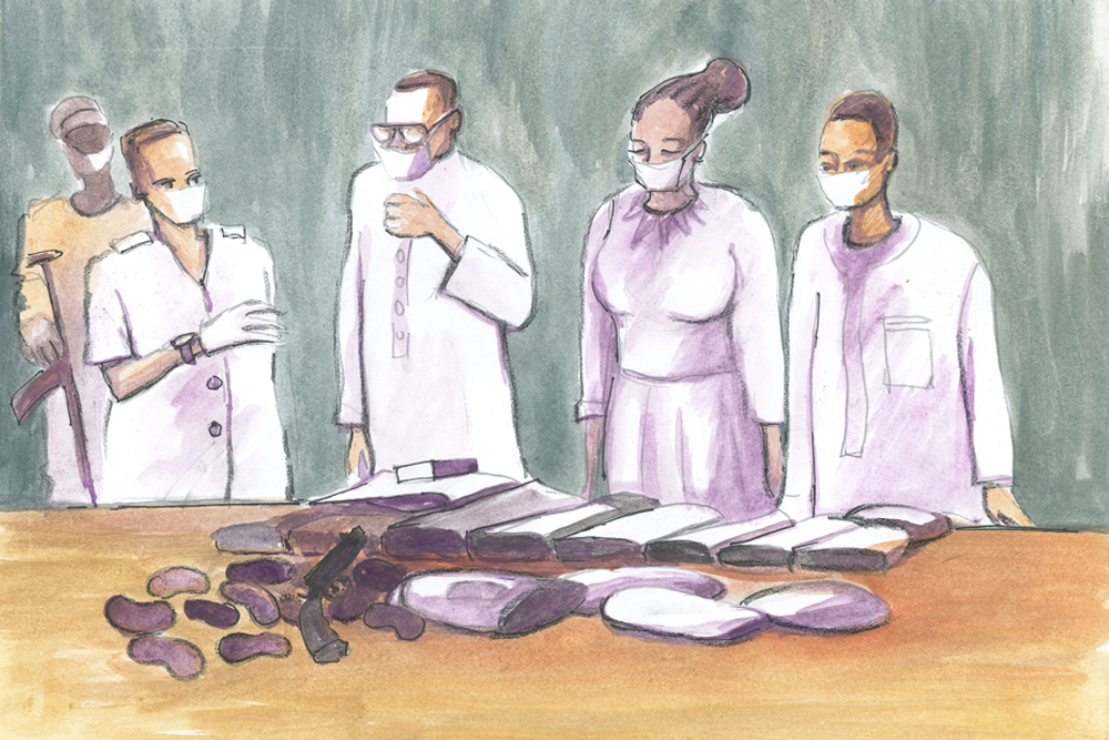 Guide to Investigating Organized Crime in Africa: Chapter 6 — Drug ...