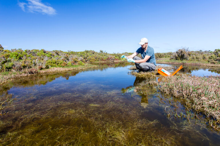 How The Pudding Used Data Visualizations to Recontextualize the Story ...