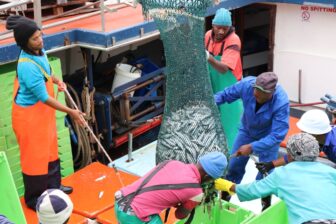 Investigation Reveals Global Fisheries Are Worse Off — and Many Have ...